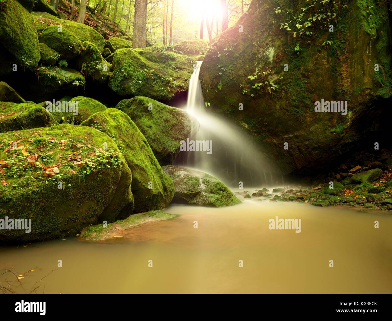 Mountain brook with clear water in small waves and leaves hi-res stock ...