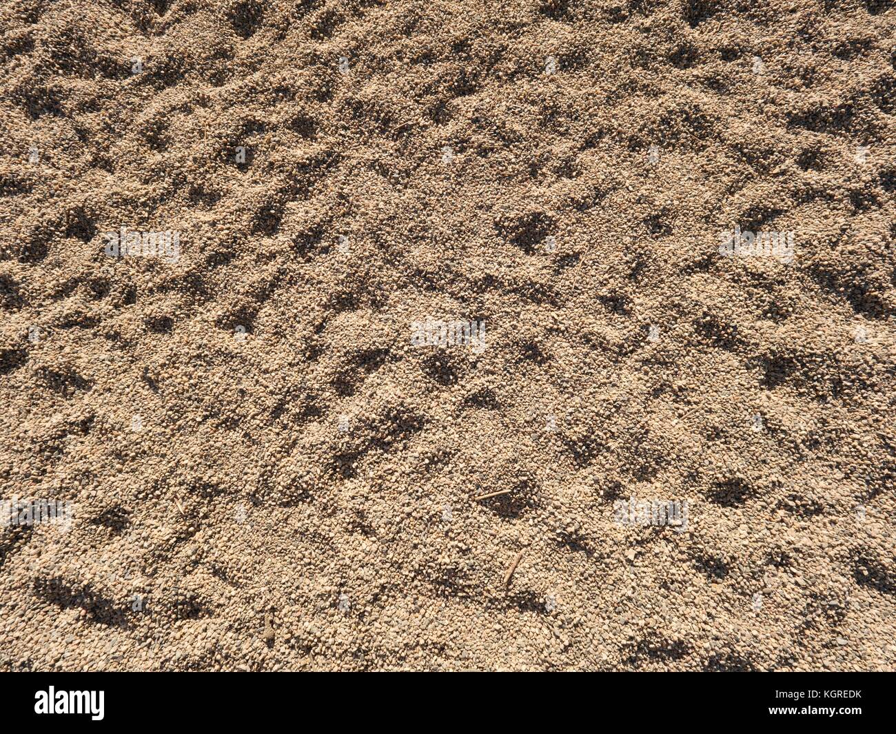 White Sand And Gravel