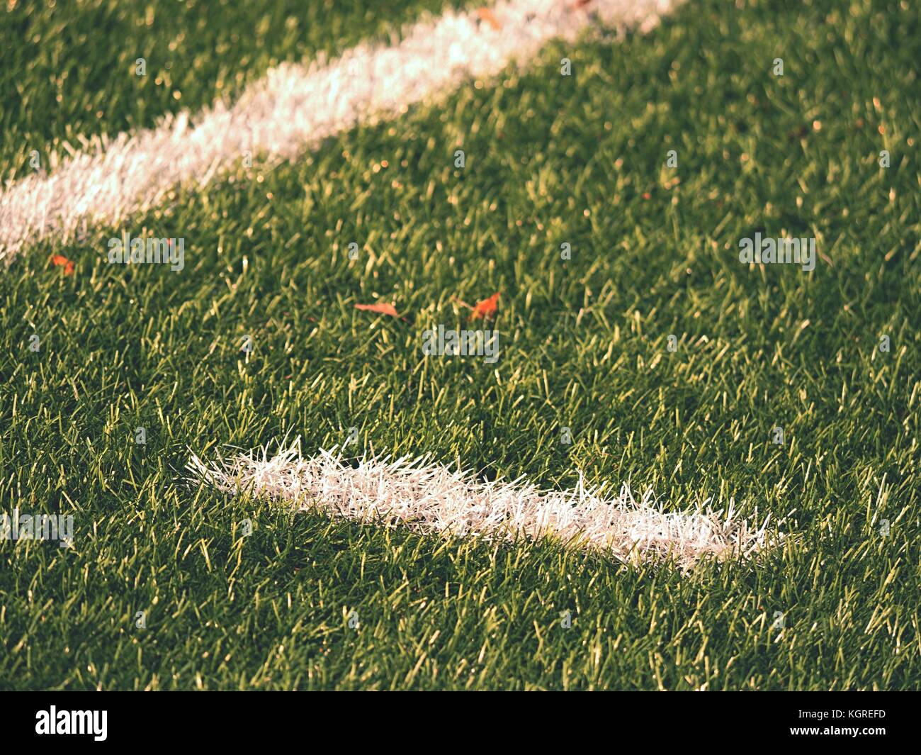 Playfield border. Closeup view to white lines on football playground ...