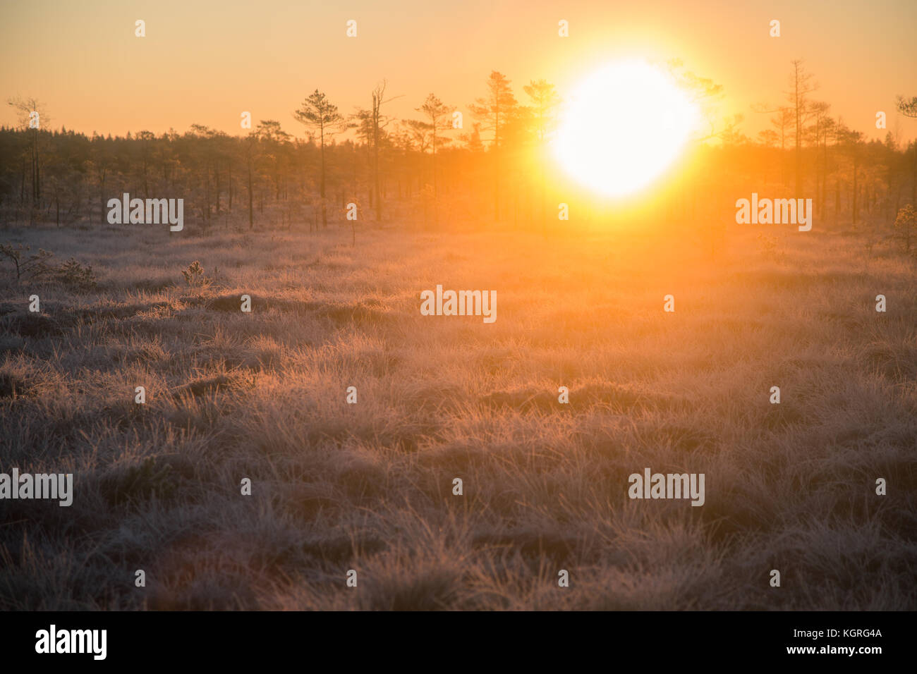 Beautiful morning landscape with a rising sun. Colorful scenery of a ...
