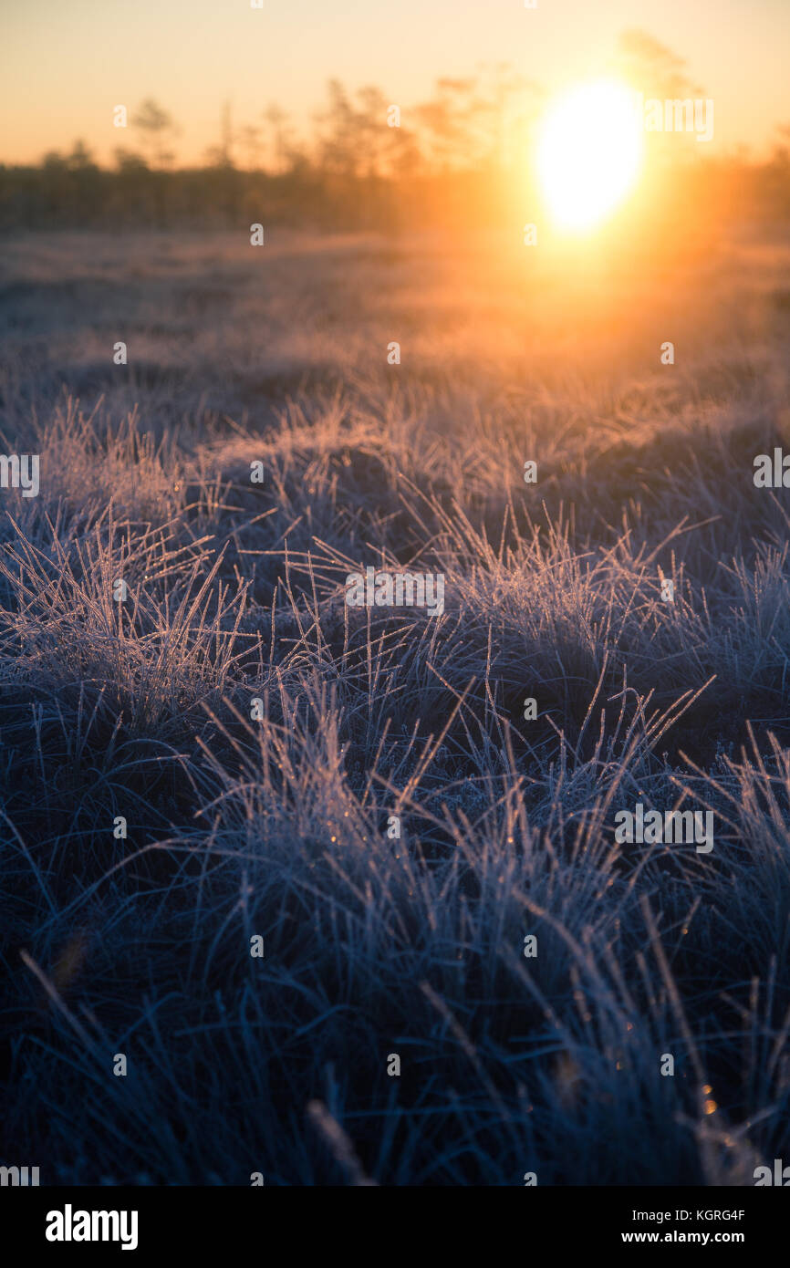 Beautiful morning landscape with a rising sun. Colorful scenery of a ...