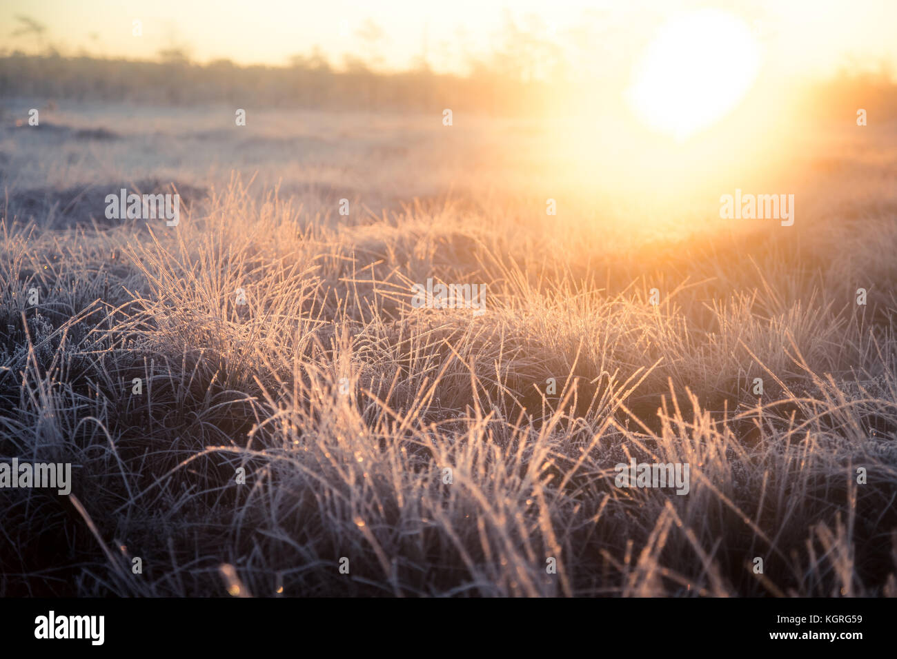 Beautiful morning landscape with a rising sun. Colorful scenery of a ...