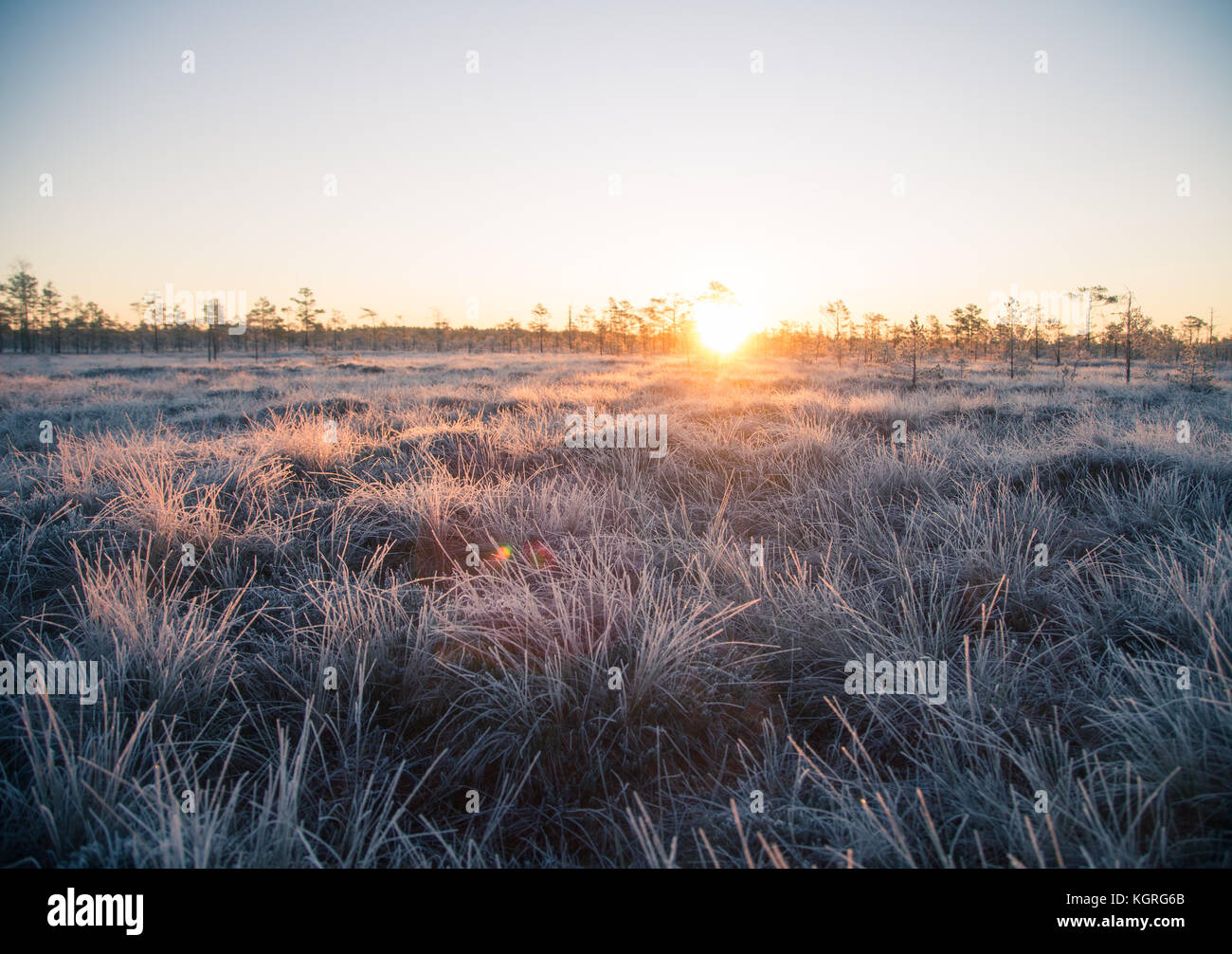 Beautiful morning landscape with a rising sun. Colorful scenery of a ...
