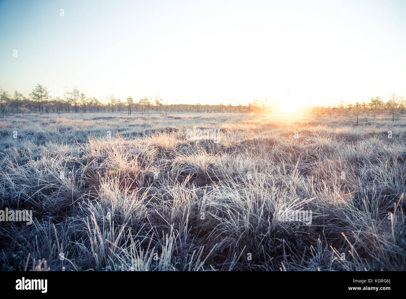 Beautiful morning landscape with a rising sun. Colorful scenery of a ...