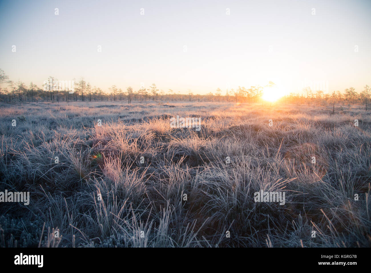 Beautiful morning landscape with a rising sun. Colorful scenery of a ...