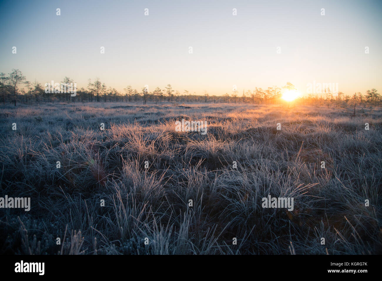 Beautiful ray of rising sun hi-res stock photography and images - Alamy