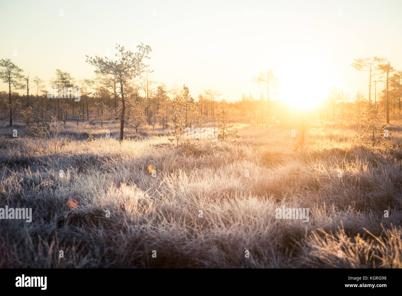 Beautiful morning landscape with a rising sun. Colorful scenery of a ...