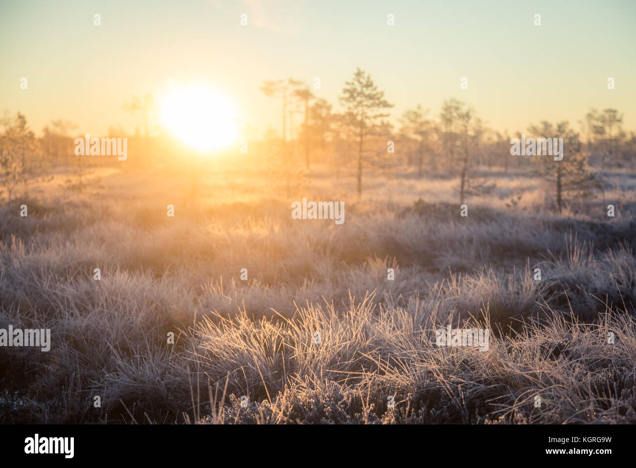 Beautiful morning landscape with a rising sun. Colorful scenery of a ...