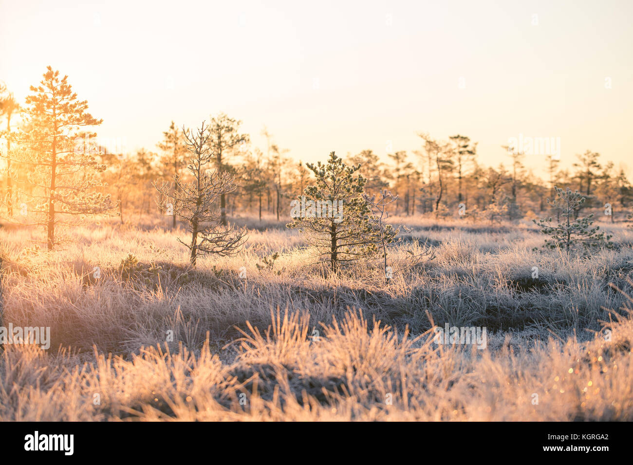 Beautiful morning landscape with a rising sun. Colorful scenery of a ...