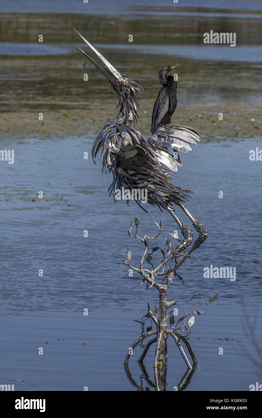 Paul eppling hi-res stock photography and images - Alamy