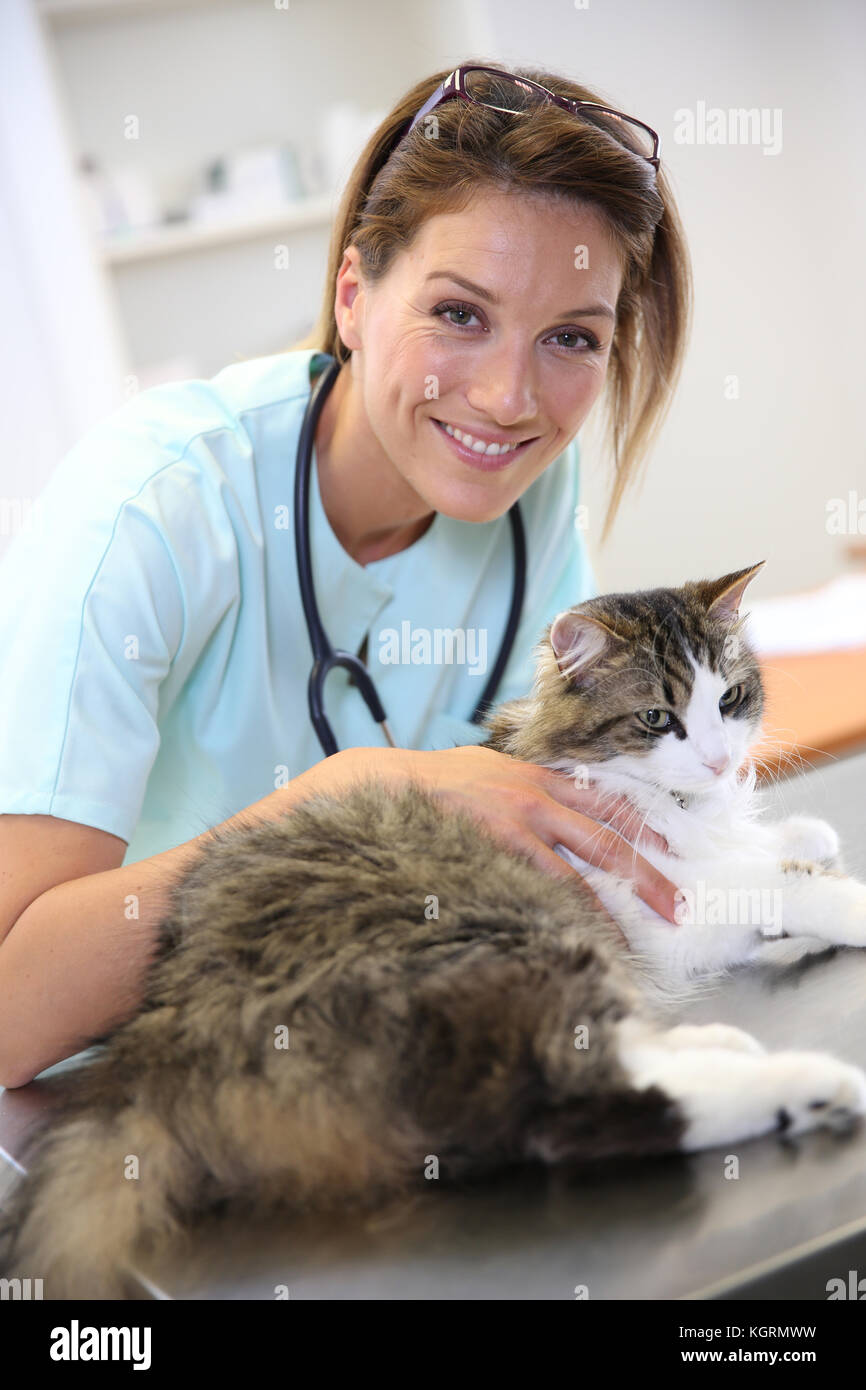 Portrait of smiling veterinarian woman with cat Stock Photo - Alamy