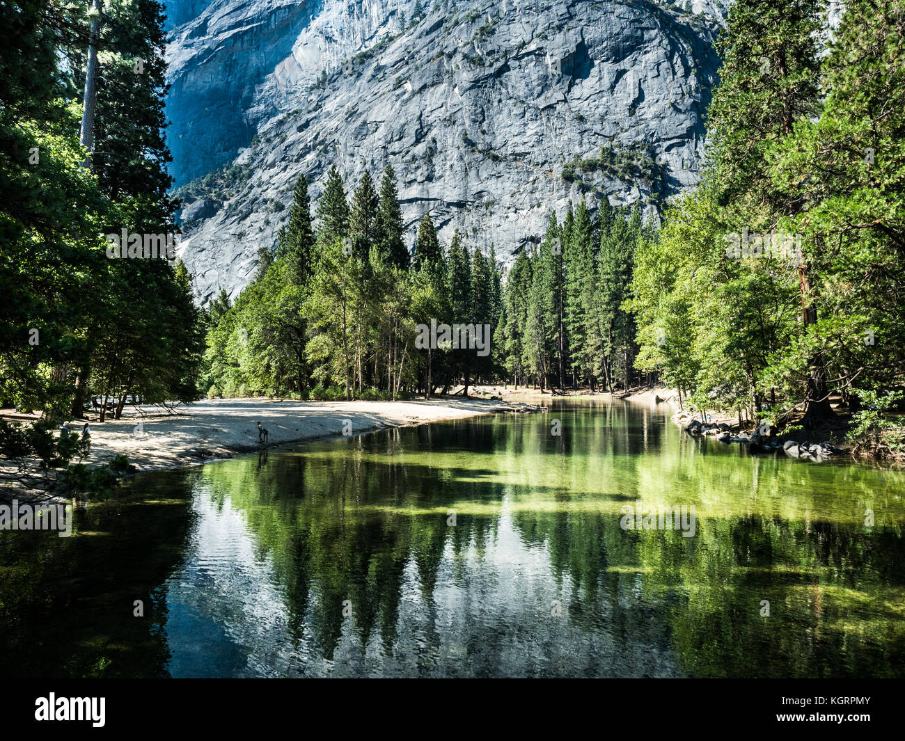 Yosemite national forrest hi-res stock photography and images - Alamy