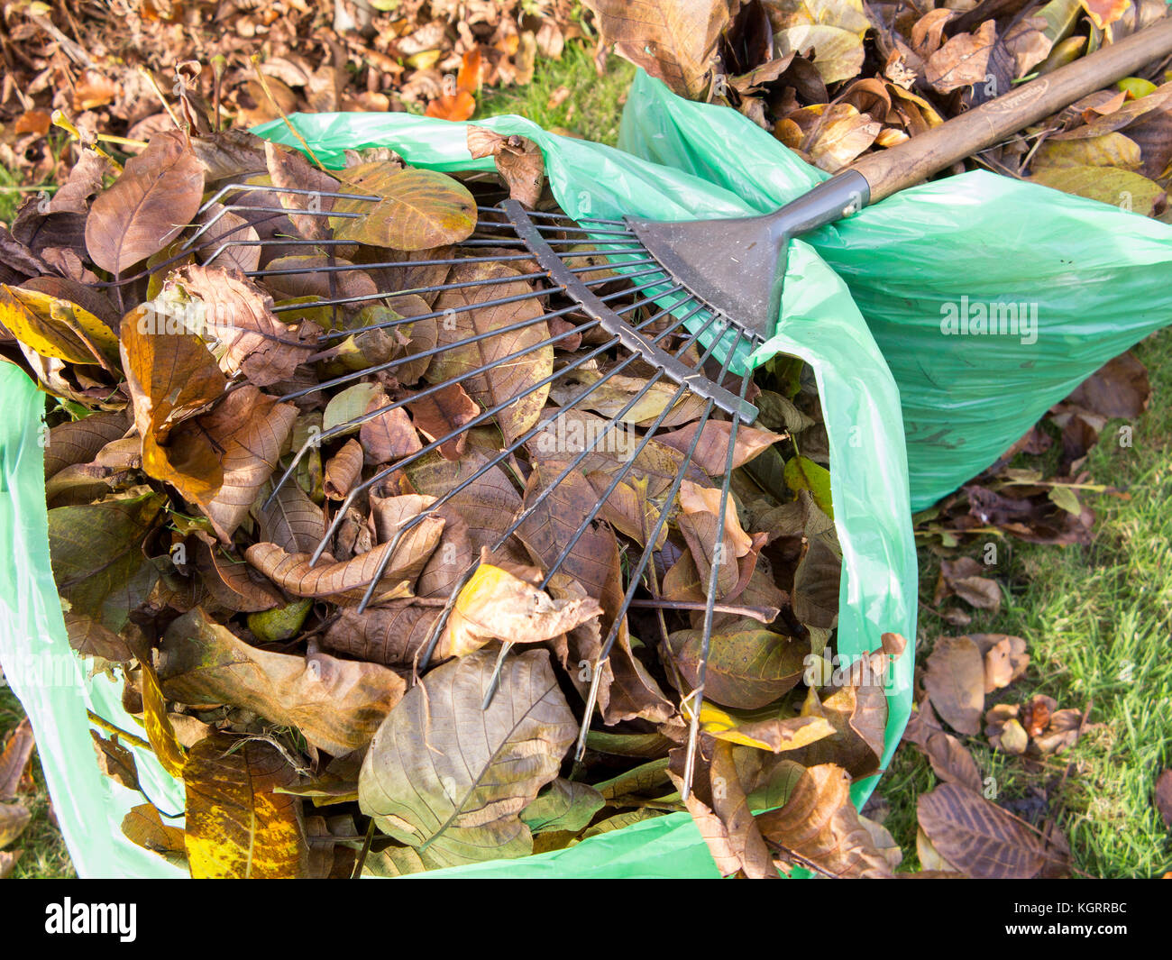 Rake raking hi-res stock photography and images - Alamy