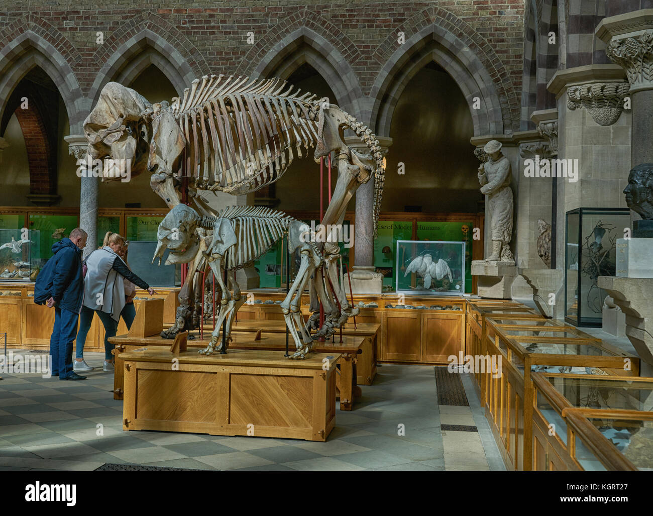 The Oxford University Museum of Natural History Stock Photo - Alamy