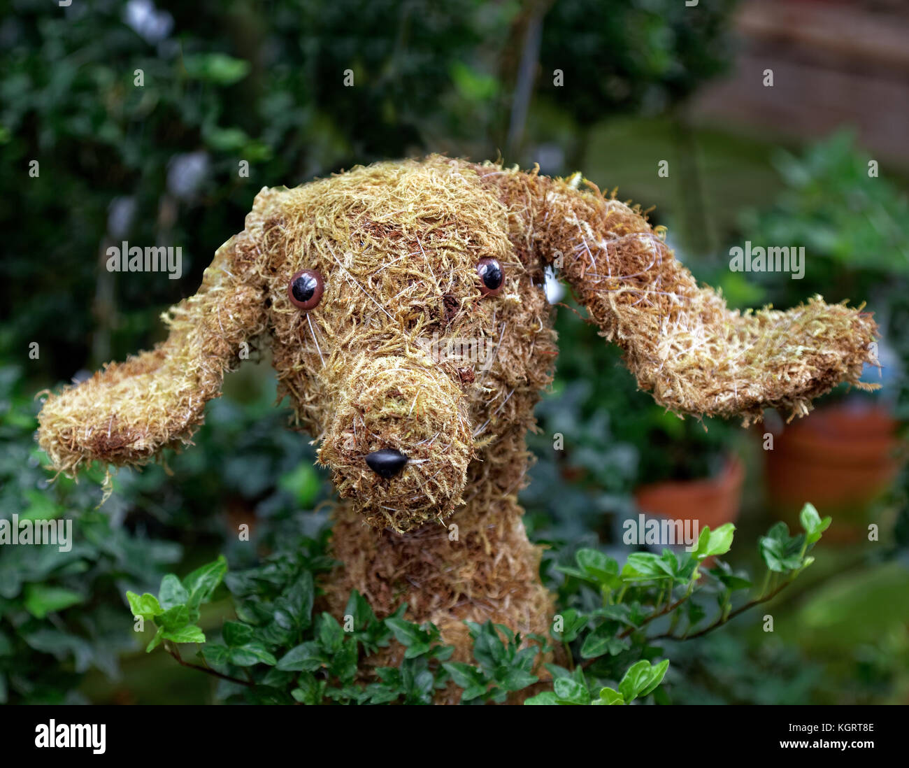 Dog topiary hi-res stock photography and images - Alamy