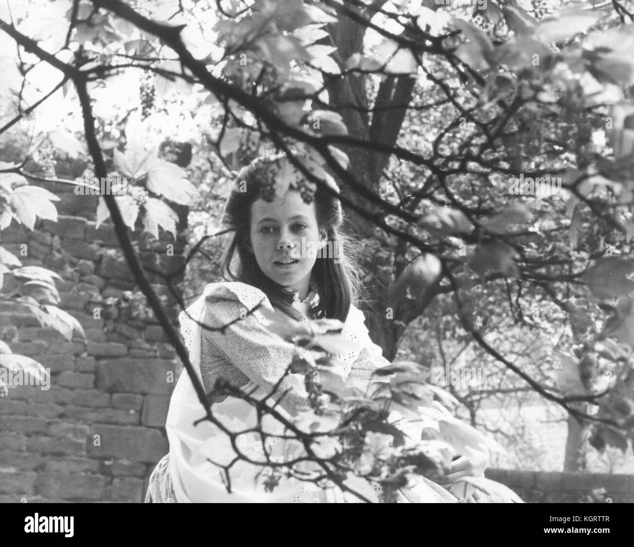 The railway children jenny agutter hi-res stock photography and images ...
