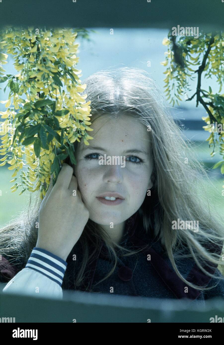 Sally thomsett hi-res stock photography and images - Alamy