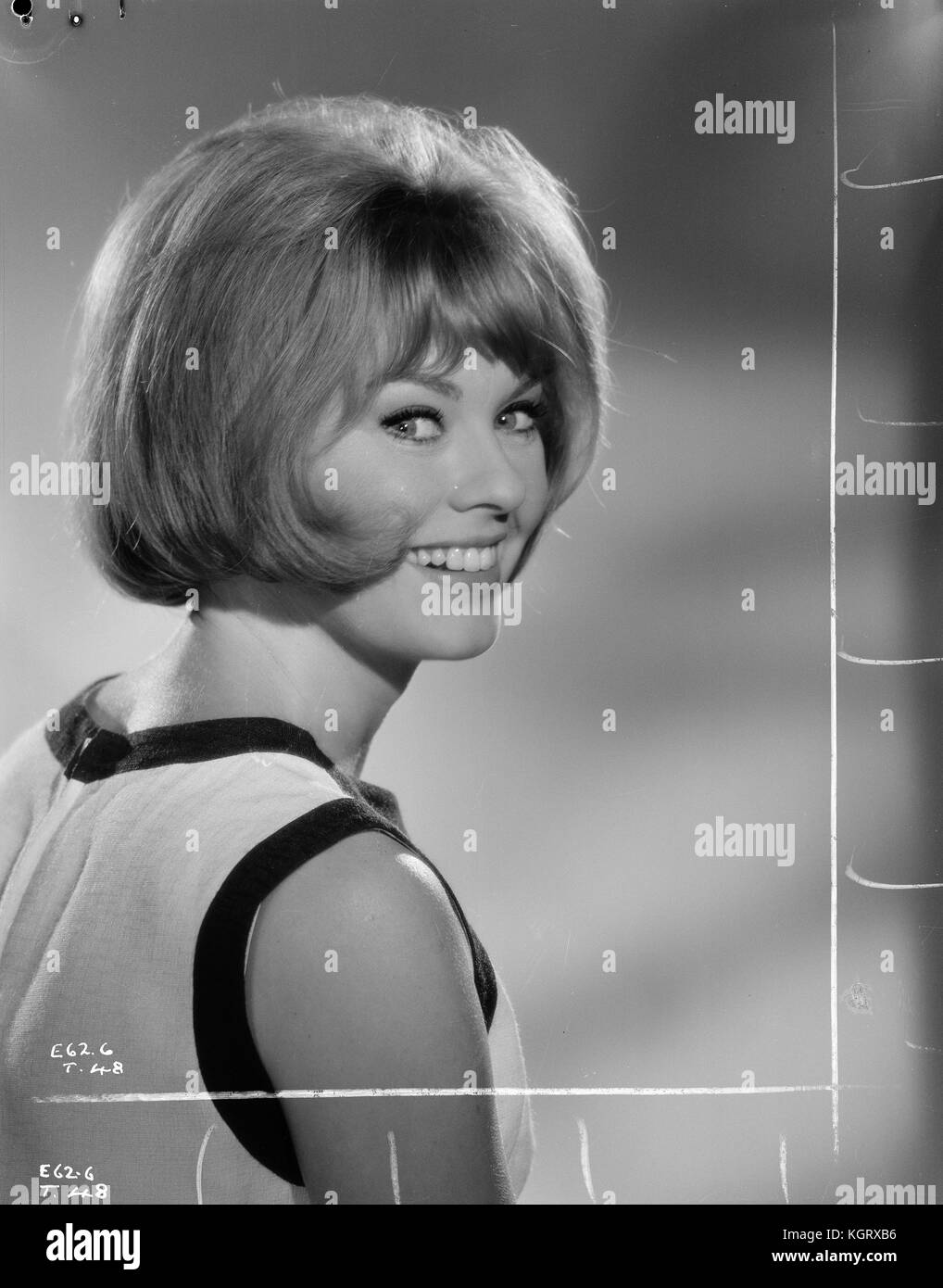 Pamela Hart High Resolution Stock Photography and Images - Alamy