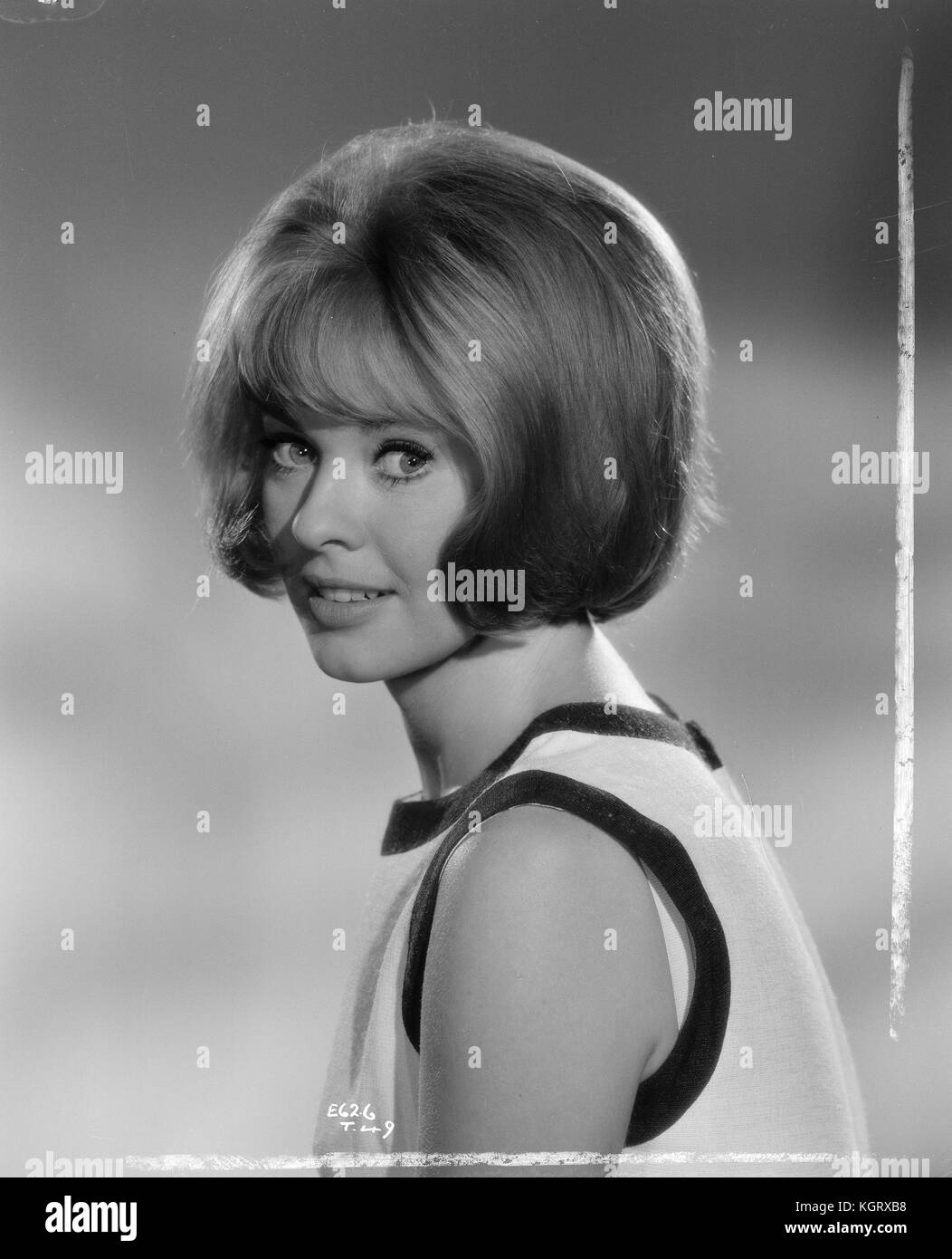 Pamela hart hi-res stock photography and images - Alamy