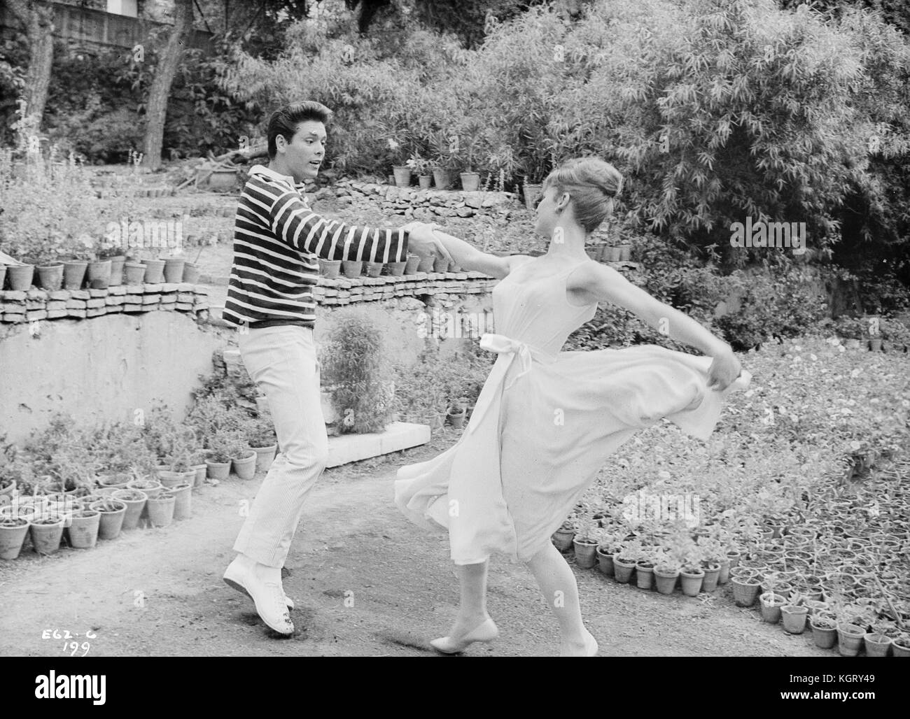 Summer Holiday (1963) , Cliff Richard Stock Photo - Alamy