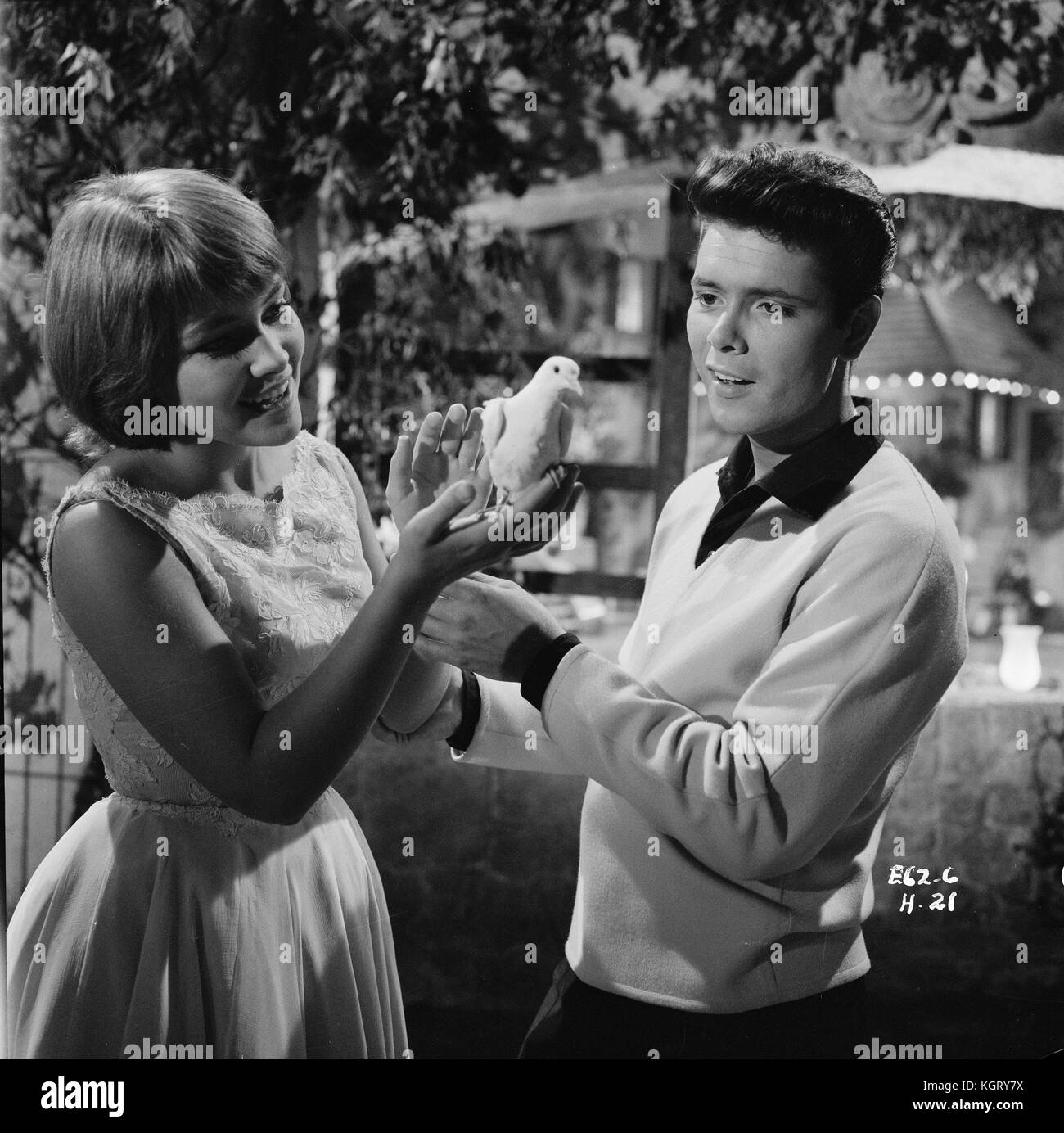 Summer Holiday (1963) , Cliff Richard , Lauri Peters Stock Photo - Alamy