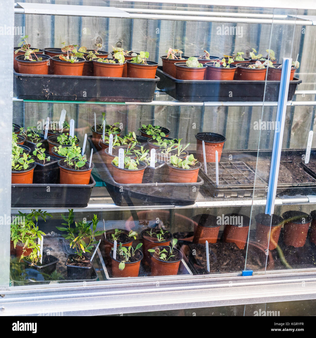 Seed sowing greenhouse hi-res stock photography and images - Alamy