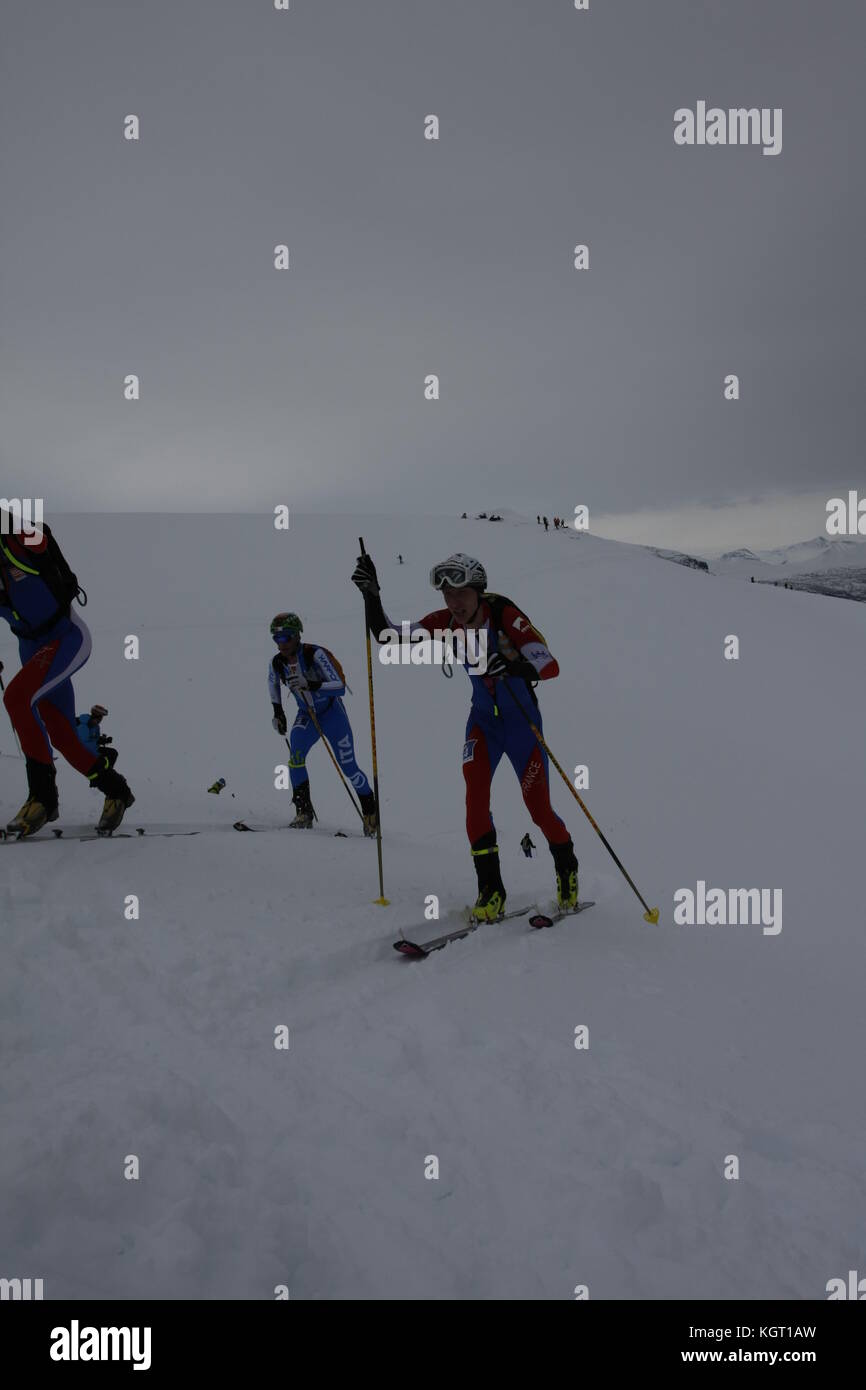 Skimountaineering World Cup Tromsø , Randonee Racing Stock Photo - Alamy