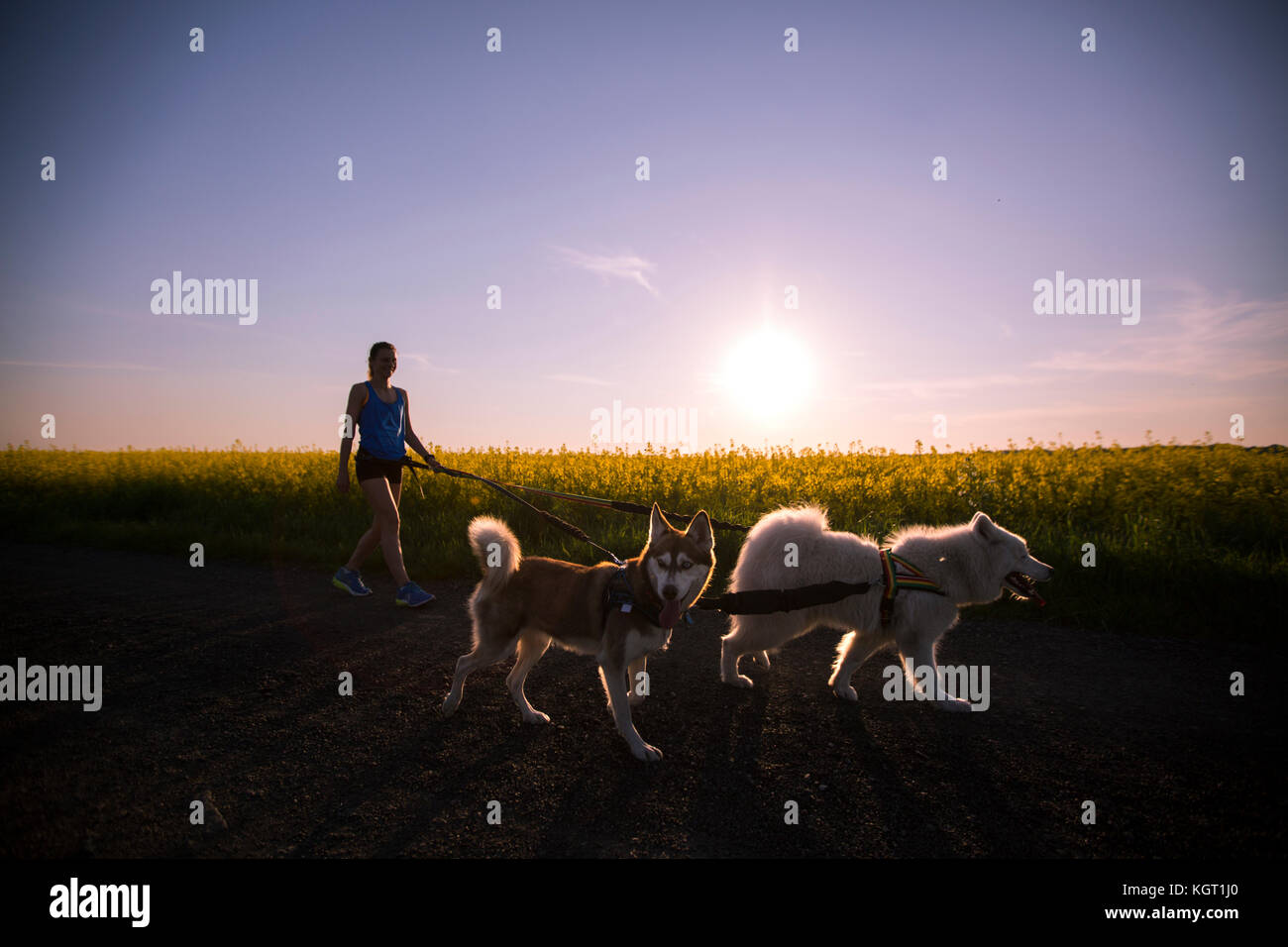 Woman Running in the field Stock Photo - Alamy