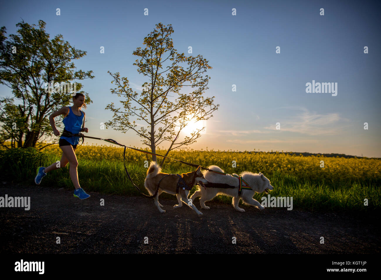 Woman Running in the field Stock Photo - Alamy