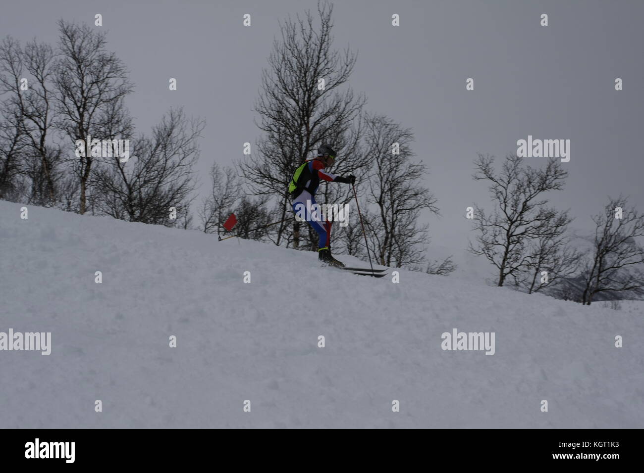 Skimountaineering World Cup Tromsø , Randonee Racing Stock Photo - Alamy