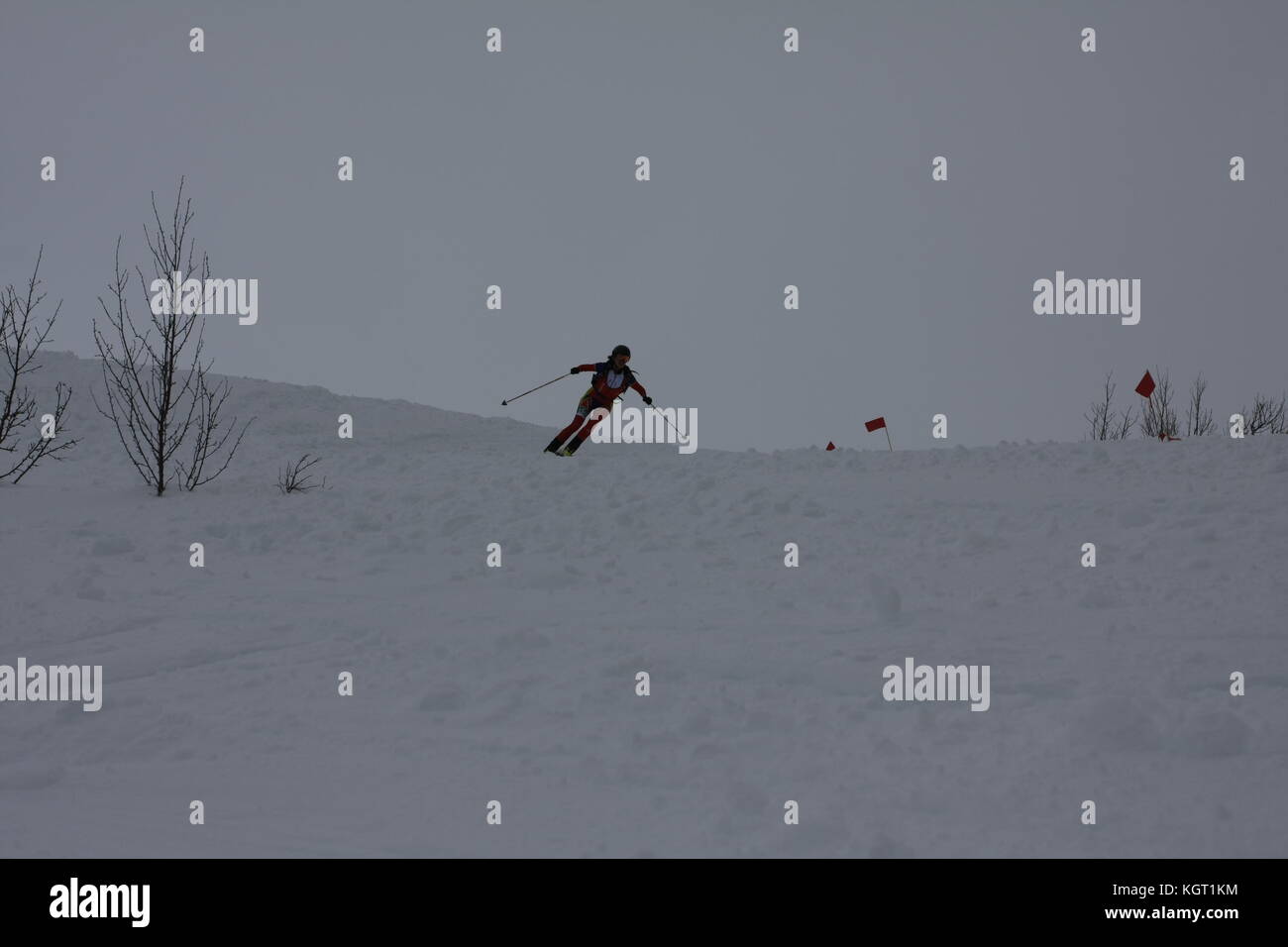 Skimountaineering World Cup Tromsø , Randonee Racing Stock Photo - Alamy