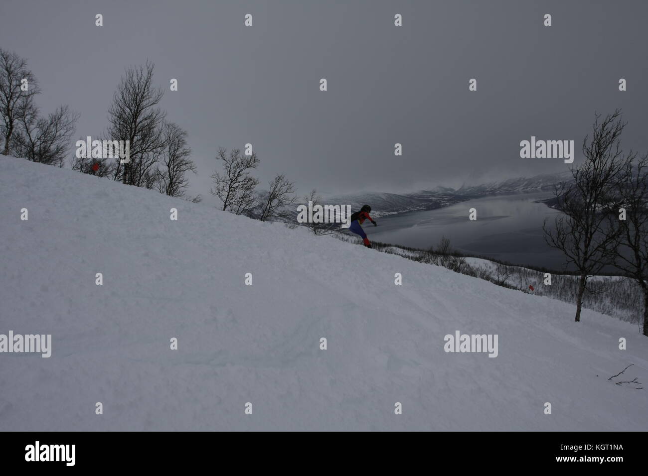 Skimountaineering World Cup Tromsø , Randonee Racing Stock Photo - Alamy