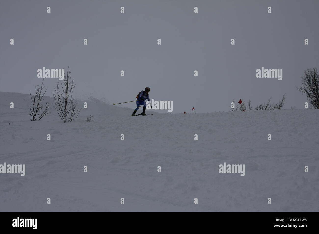 Skimountaineering World Cup Tromsø , Randonee Racing Stock Photo - Alamy