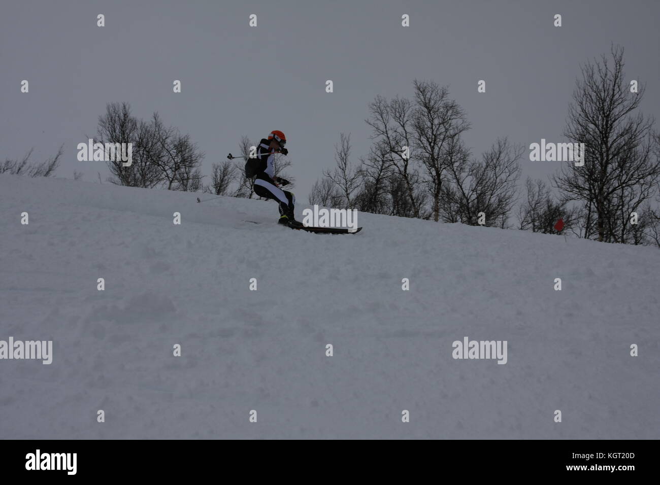 Skimountaineering World Cup Tromsø , Randonee Racing Stock Photo - Alamy
