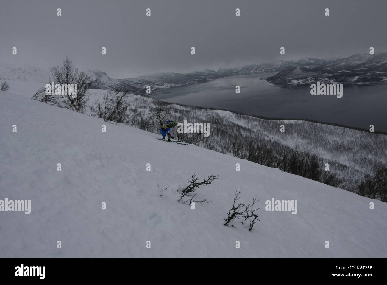 Skimountaineering World Cup Tromsø , Randonee Racing Stock Photo - Alamy