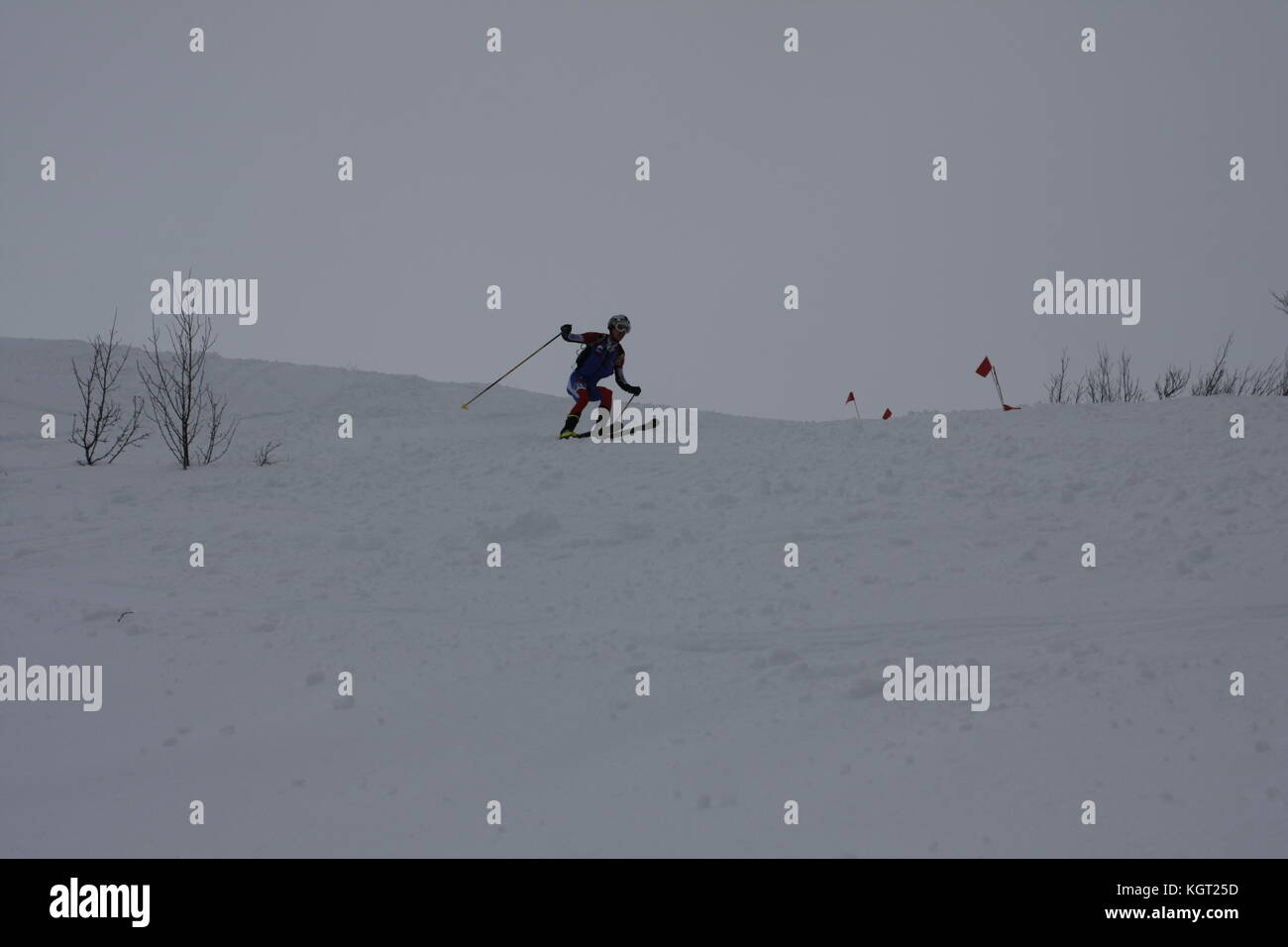 Skimountaineering World Cup Tromsø , Randonee Racing Stock Photo - Alamy
