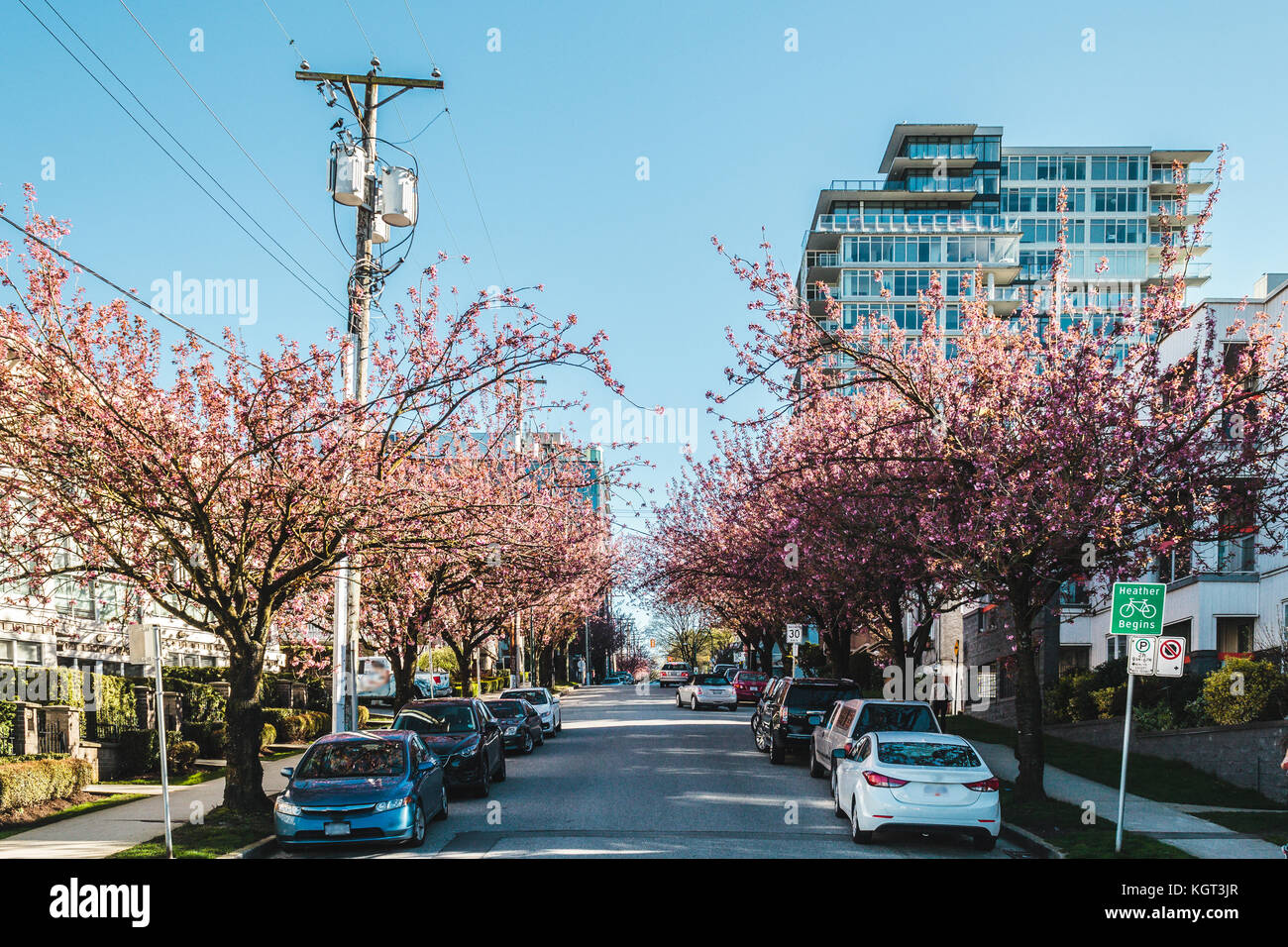 Photo of Residential Streets of Vancouver, BC, Canada Stock Photo - Alamy