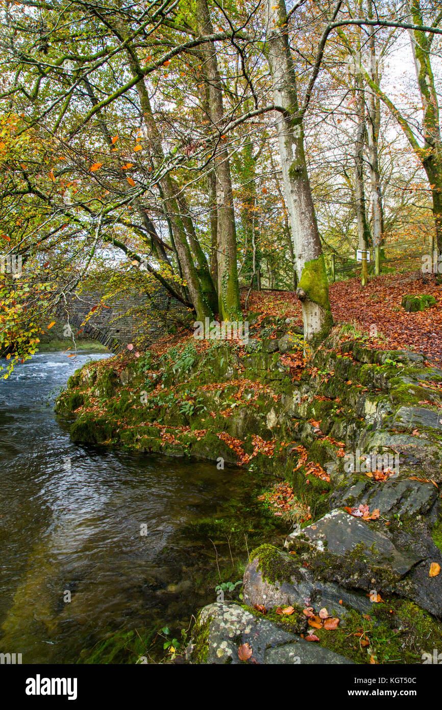 Autumn colours on the banks of the River Brathay, Clappersgate ...