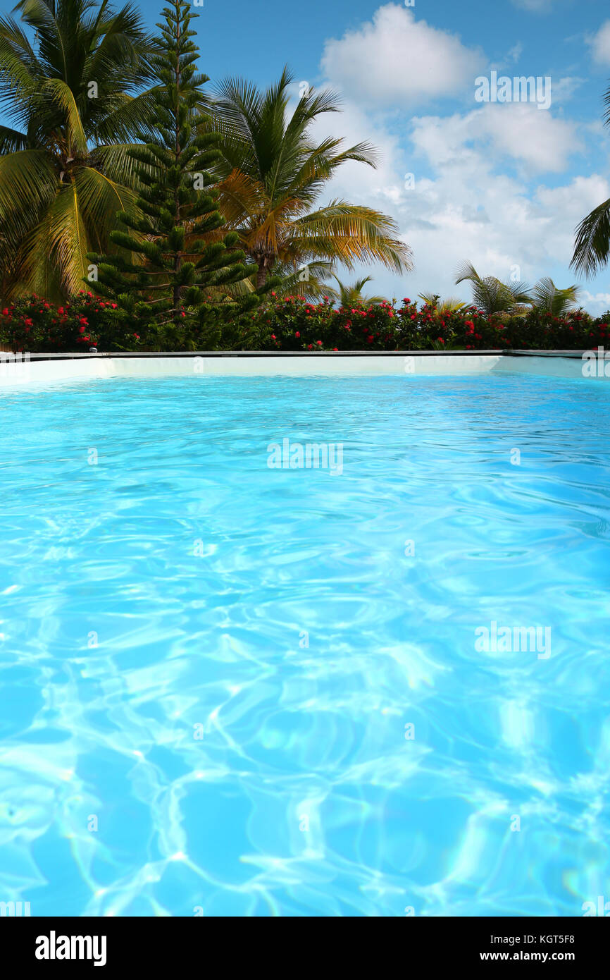 Private swimming pool in tropical area Stock Photo - Alamy