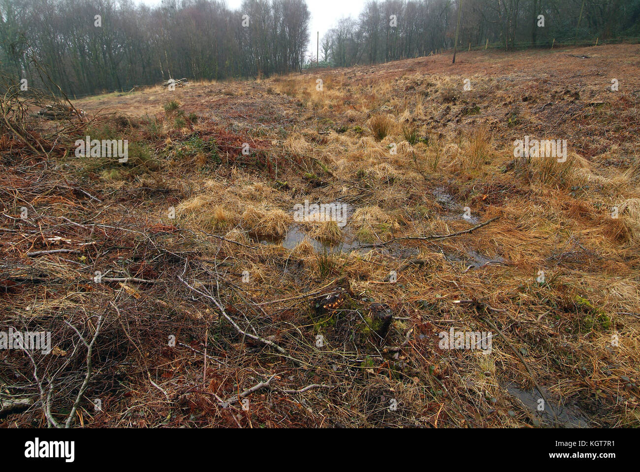 Turbary common hi-res stock photography and images - Alamy