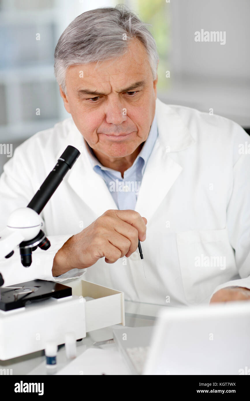 Researcher in lab looking at laptop computer Stock Photo - Alamy