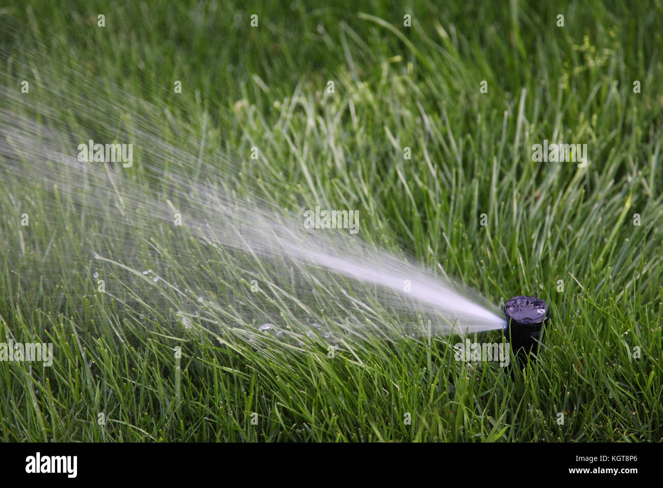 Closeup on sprinkler Stock Photo - Alamy