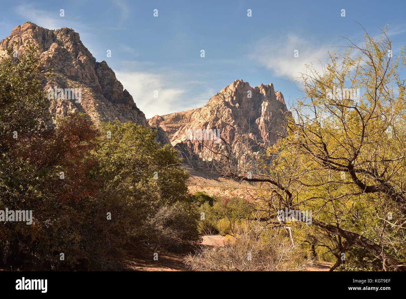 long empty highway into Death Valley Stock Photo - Alamy