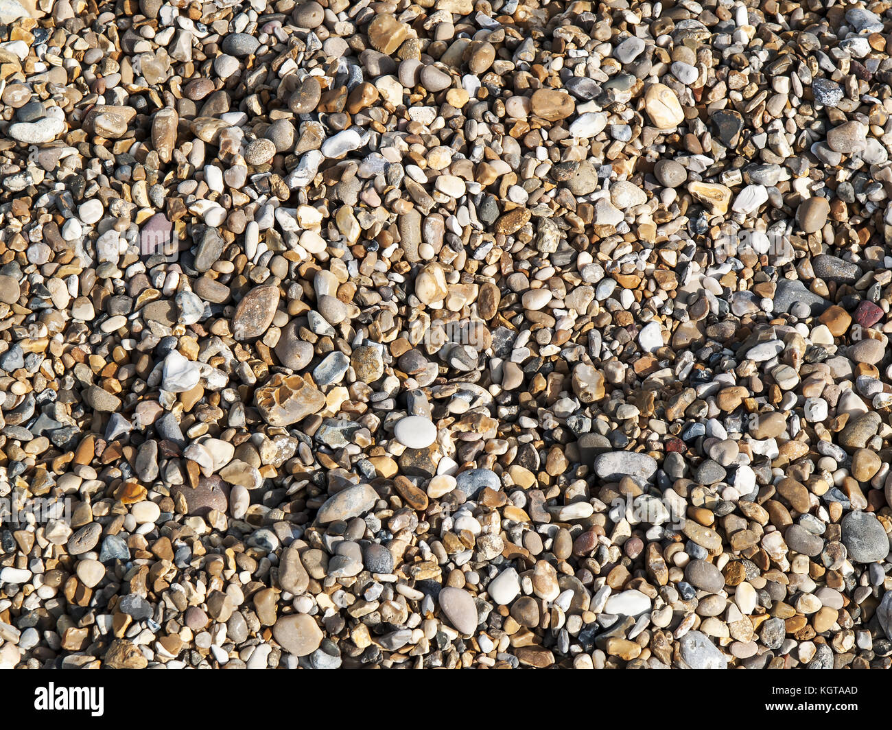 Shingle on a beach Stock Photo - Alamy