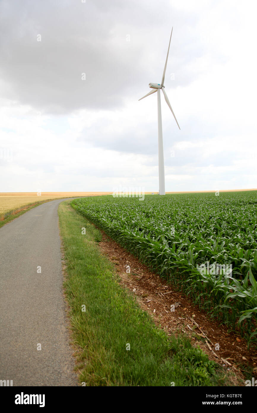 View of wind turbines in corn field Stock Photo - Alamy