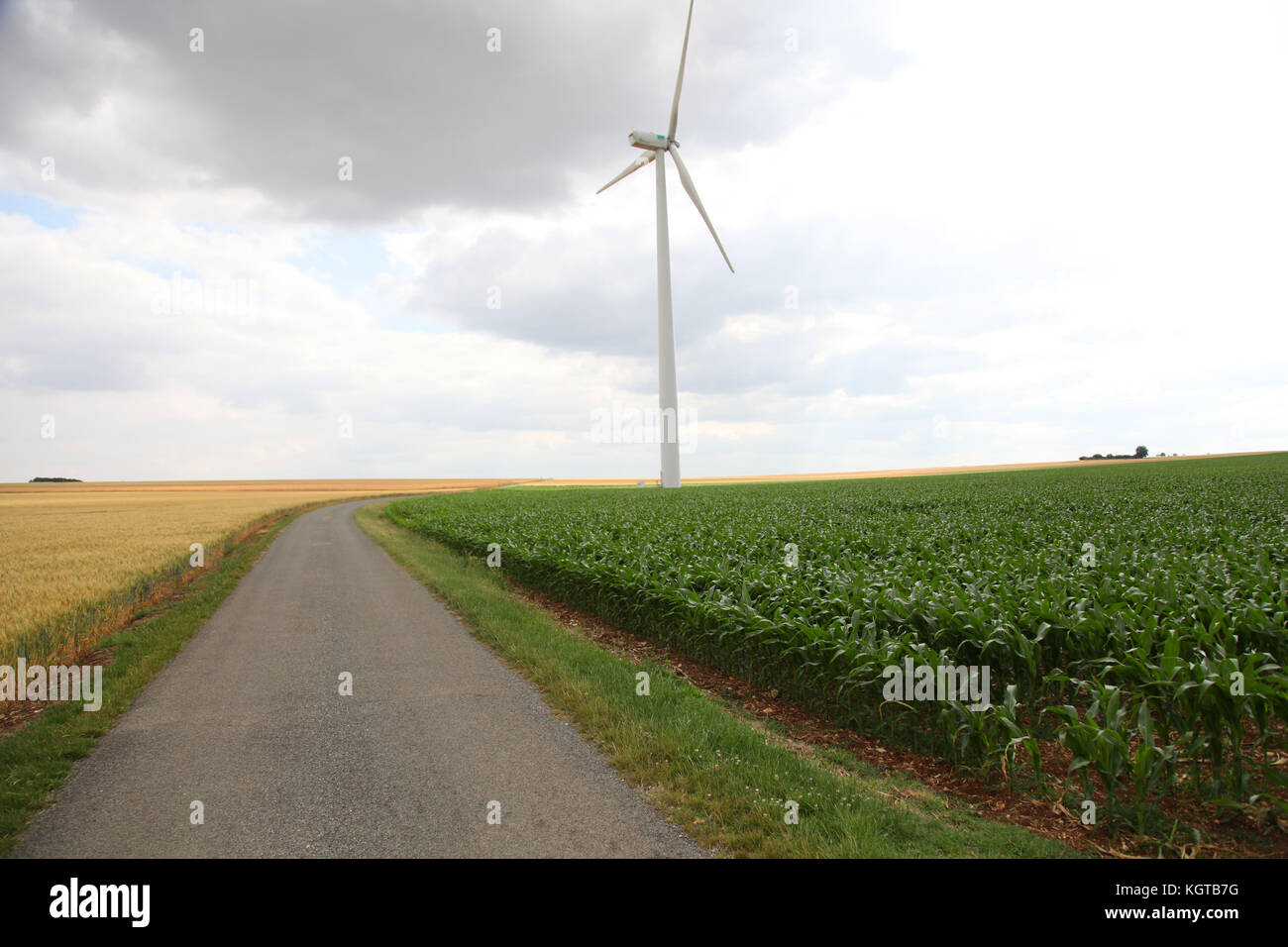 View of wind turbines in corn field Stock Photo - Alamy