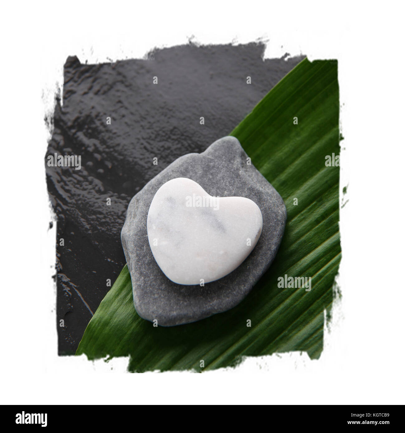 stone and shell on green plant Stock Photo - Alamy