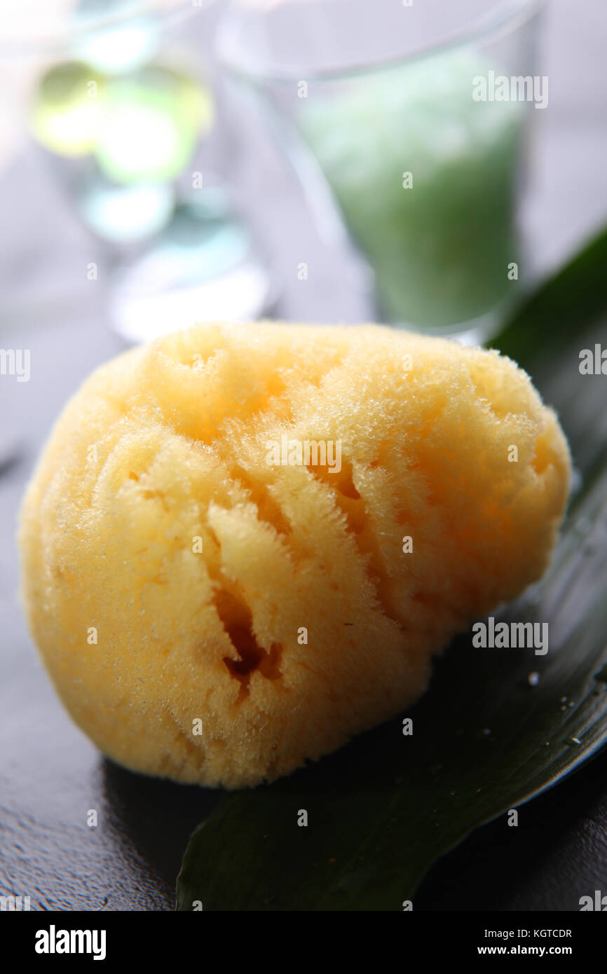 Bathing Sponge High Resolution Stock Photography and Images - Alamy