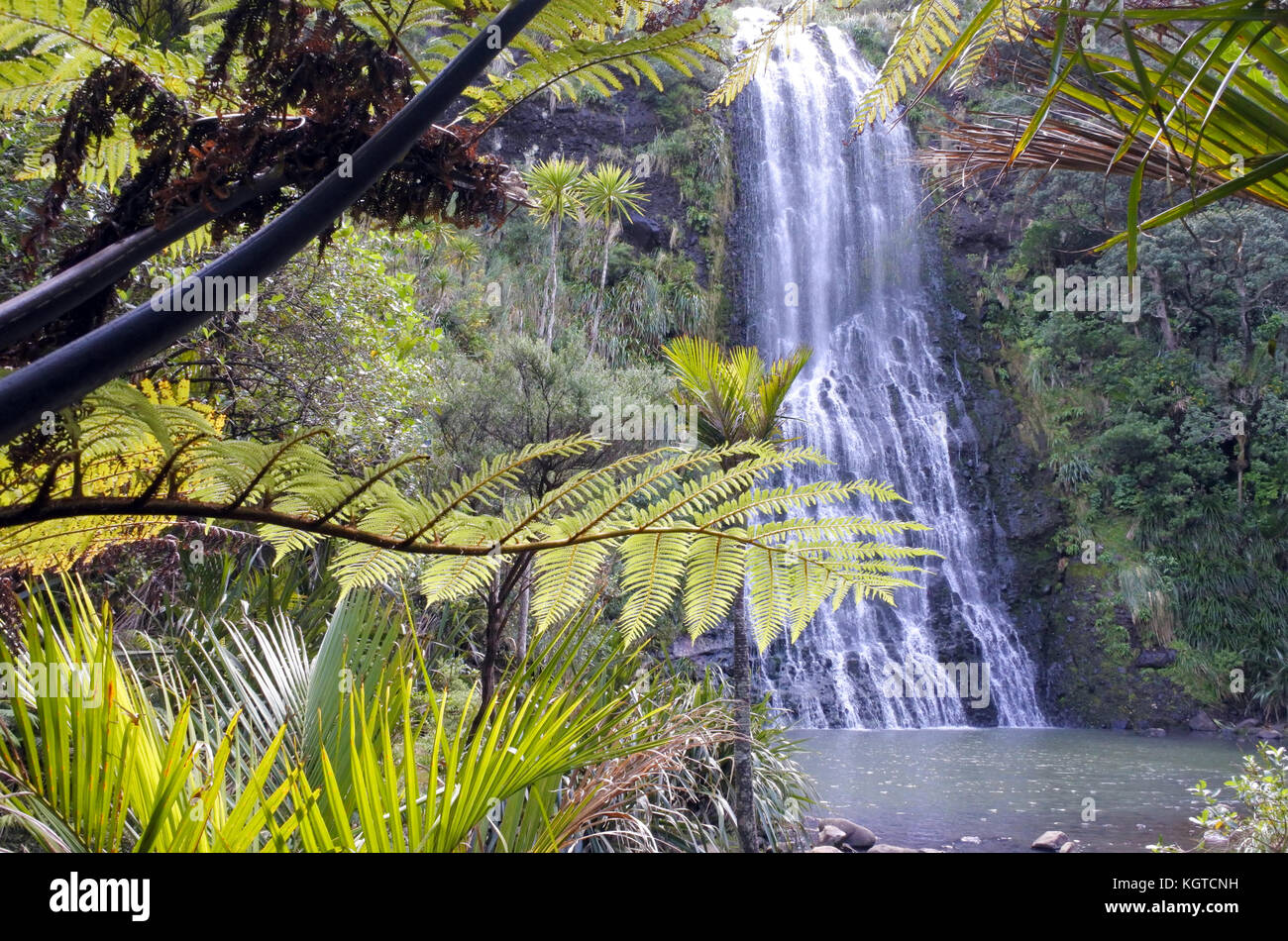 Near Waitakere Ranges High Resolution Stock Photography and Images - Alamy