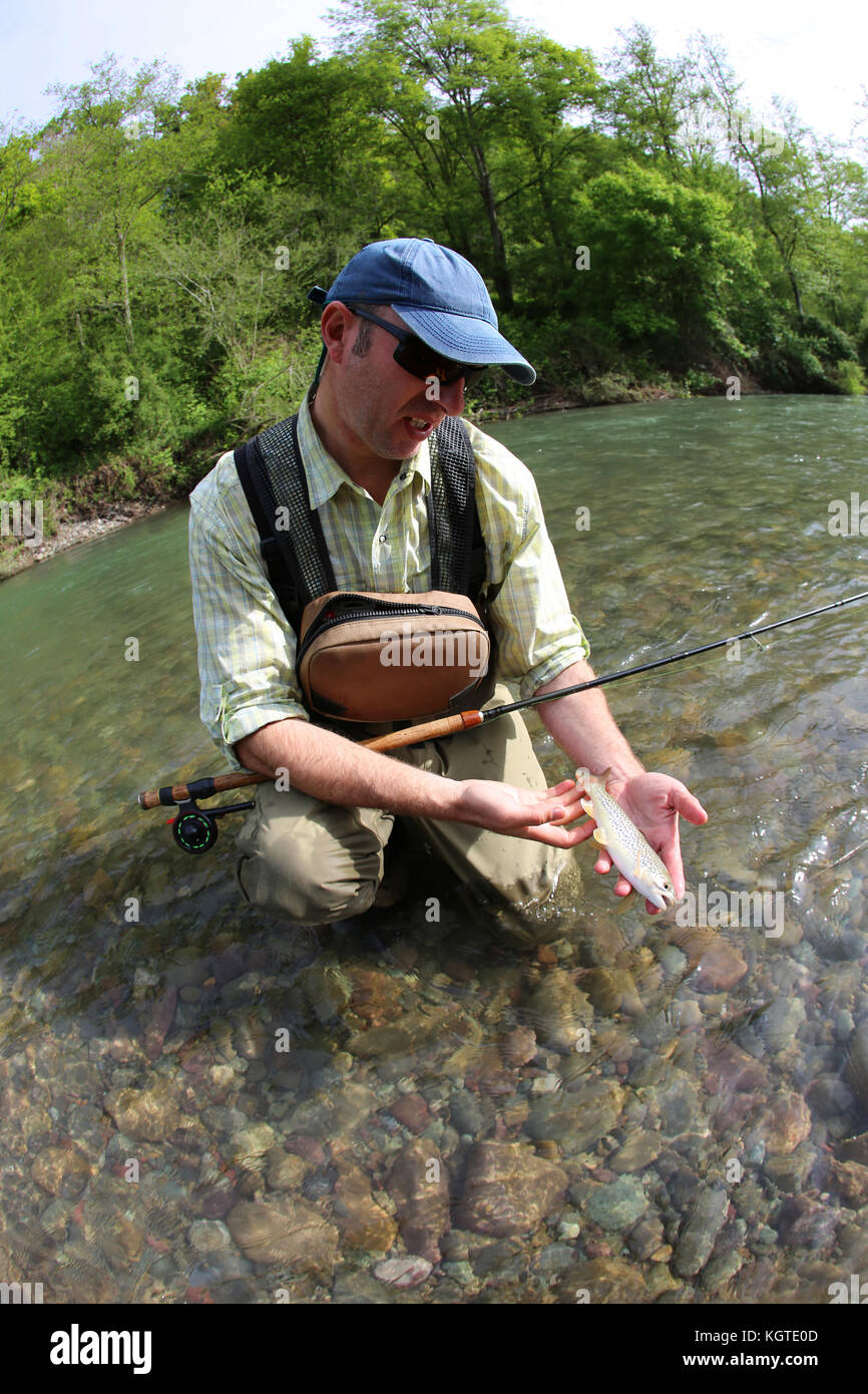 Fisherman catching brown trout with fishing line in river Stock Photo ...